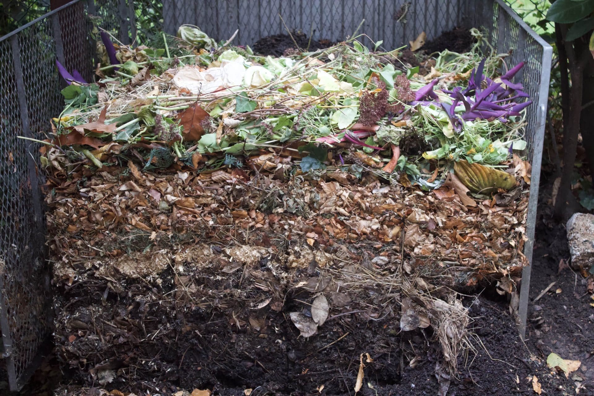 Composting at Home: A Beginner’s Guide | Golden Rule Home Inspections